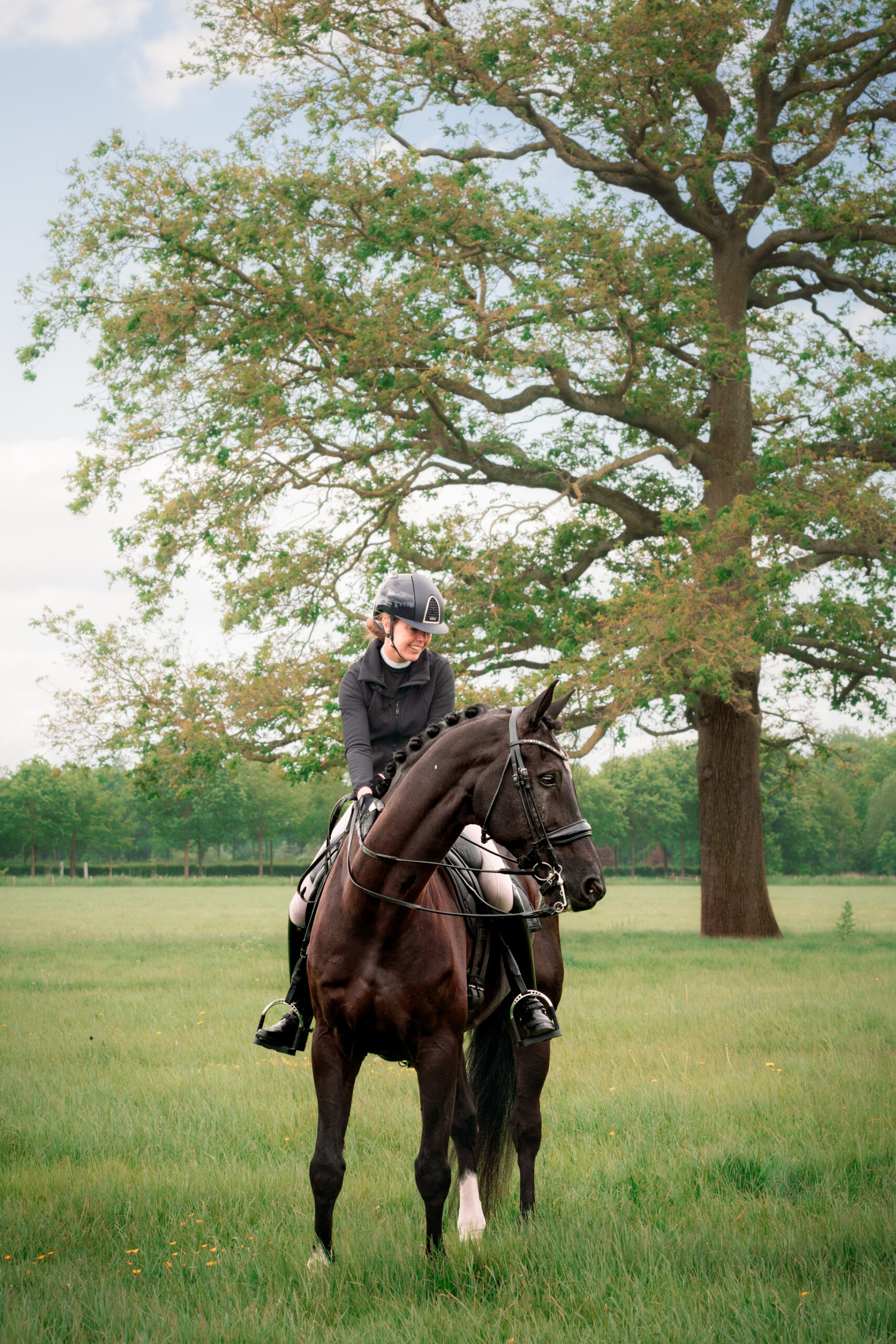 Universitair Dierenziekenhuis | “Doordat we het samen doen, maakt ...
