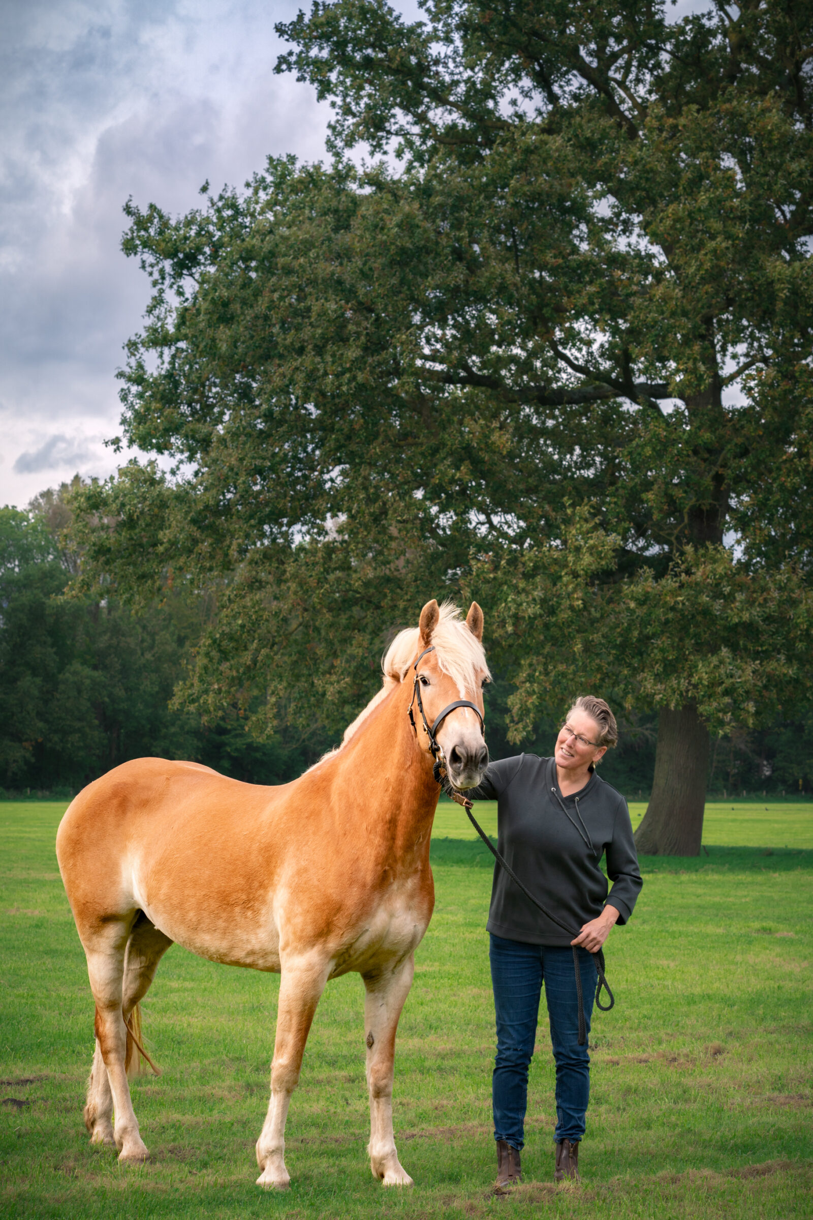 Universitair Dierenziekenhuis | “Bibi is koel in het koppie, aan de ...